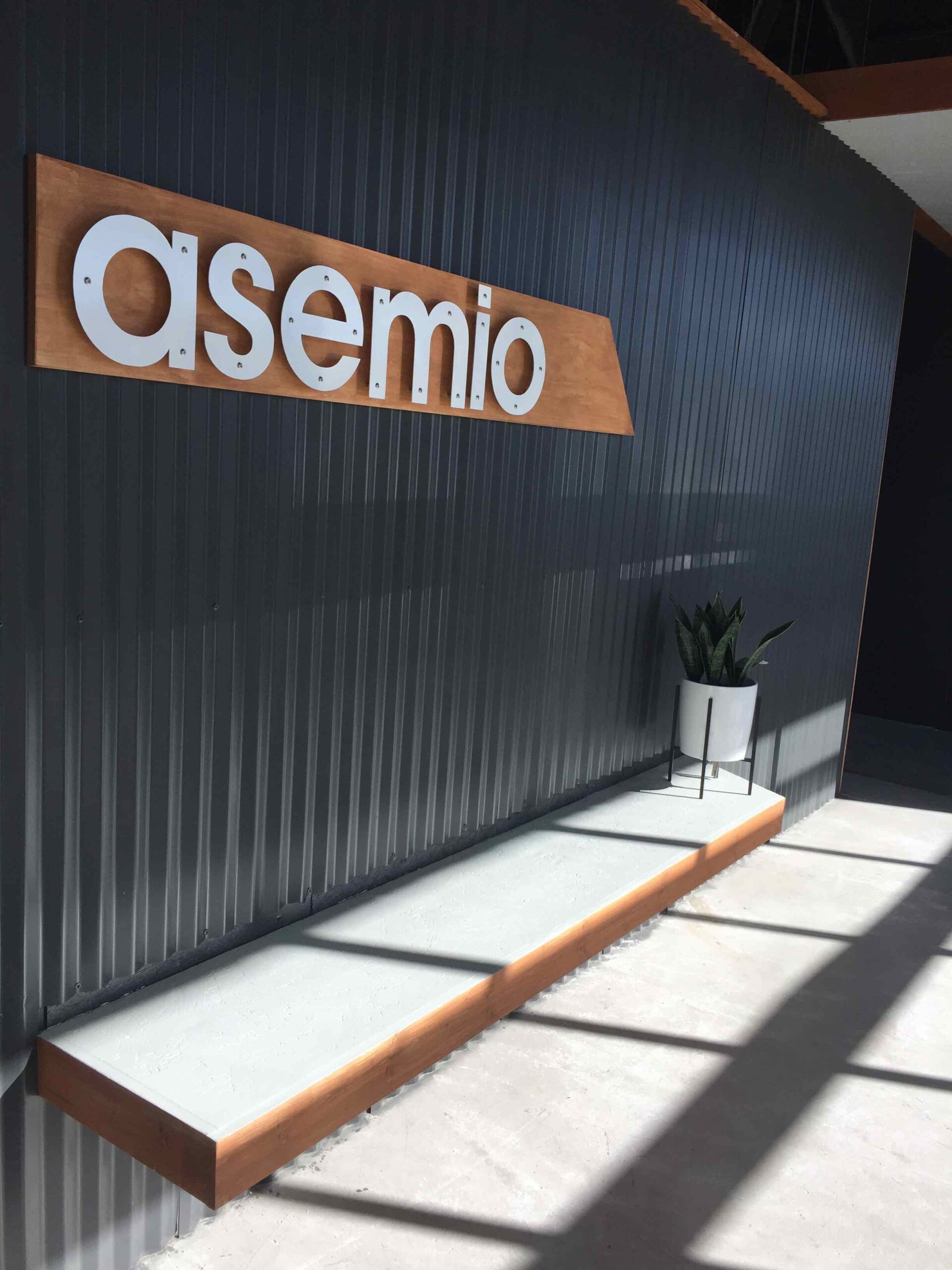 Celebrating 10 Years of Doing Good with Data | Asemio